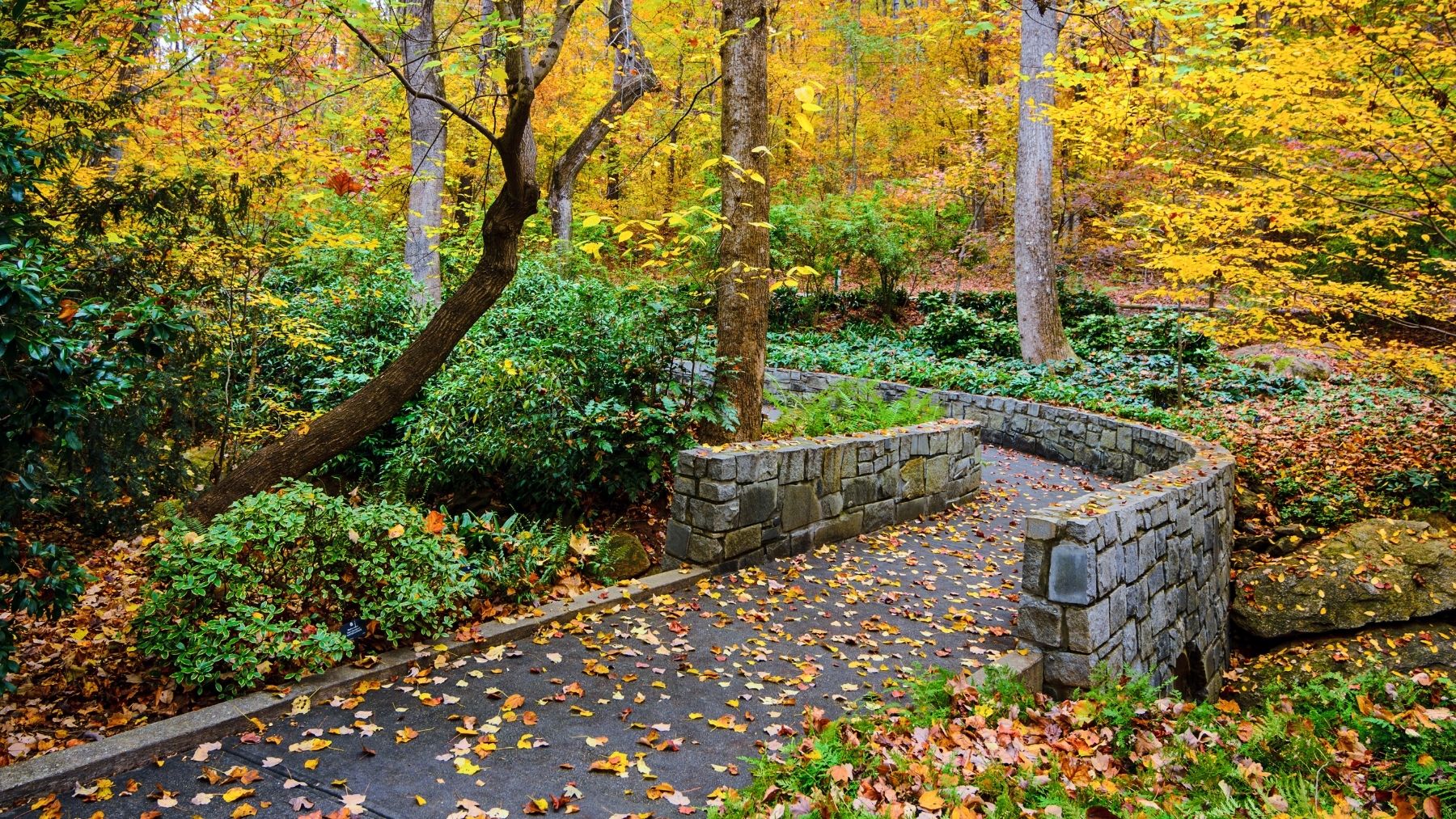 Fall Landscaping Business | Capitol LLC [Commercial] [Residential]